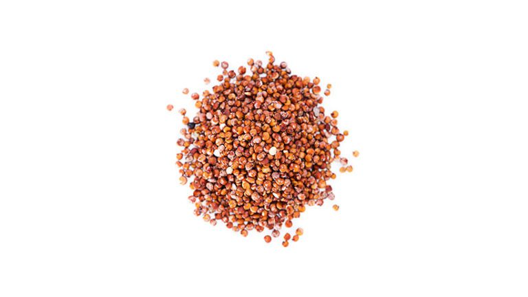 IQF Red Quinoa - Seenergy Foods Limited